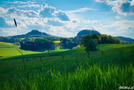 Bärensteine & Rauenstein: Tolle Wanderung in der Sächsischen Schweiz