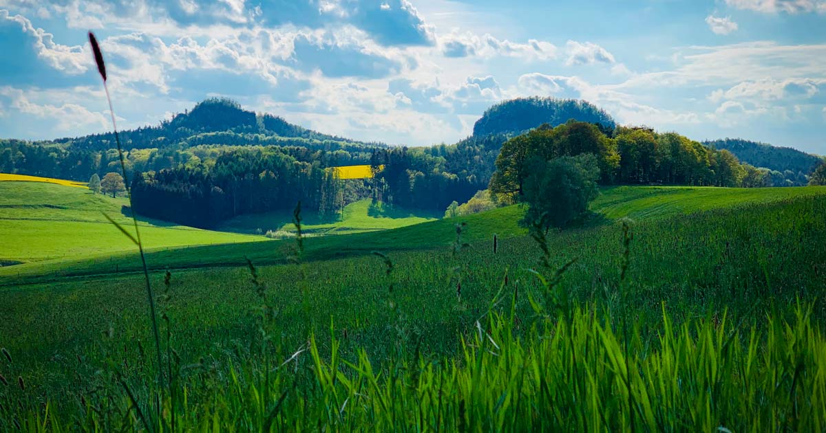 Bärensteine & Rauenstein: Tolle Wanderung in der Sächsischen Schweiz