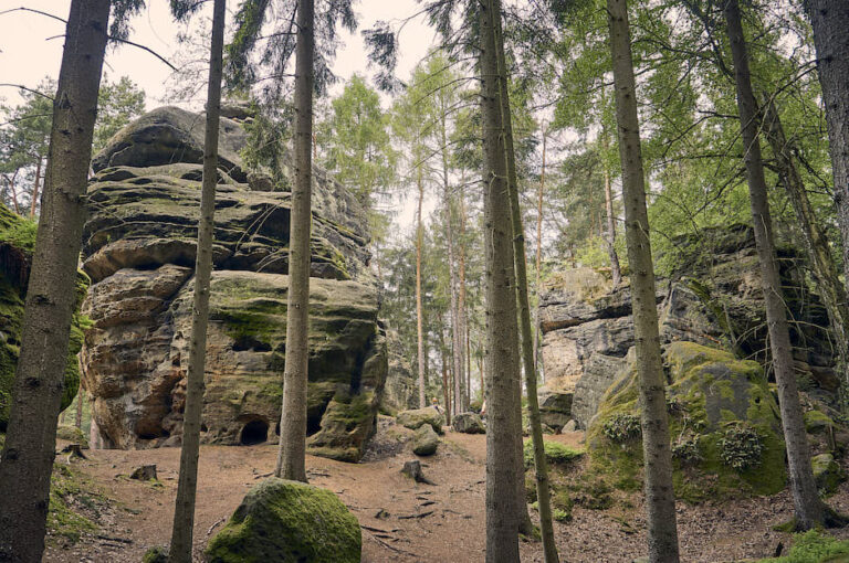 Bärensteine & Rauenstein: Tolle Wanderung in der Sächsischen Schweiz
