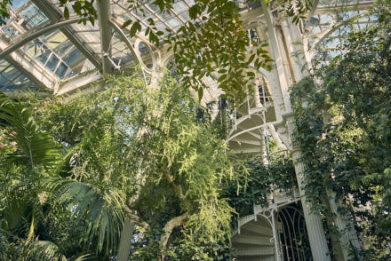 Palmenhaus Schönbrunn - Top Highlight in Wien